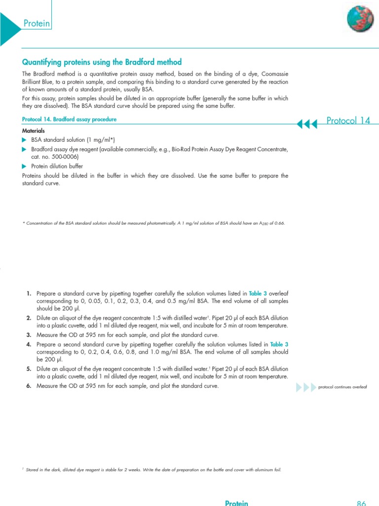 Protein Assay Quantifying Proteins Using The Bradford Method | PDF ...