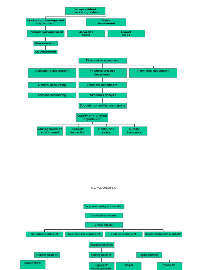 Petronas Organization Chart Overview | PDF | Warehouse | Business Process