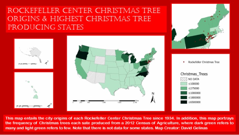 Rockefeller Center Christmas Tree Origins & Highest Christmas Tree ...