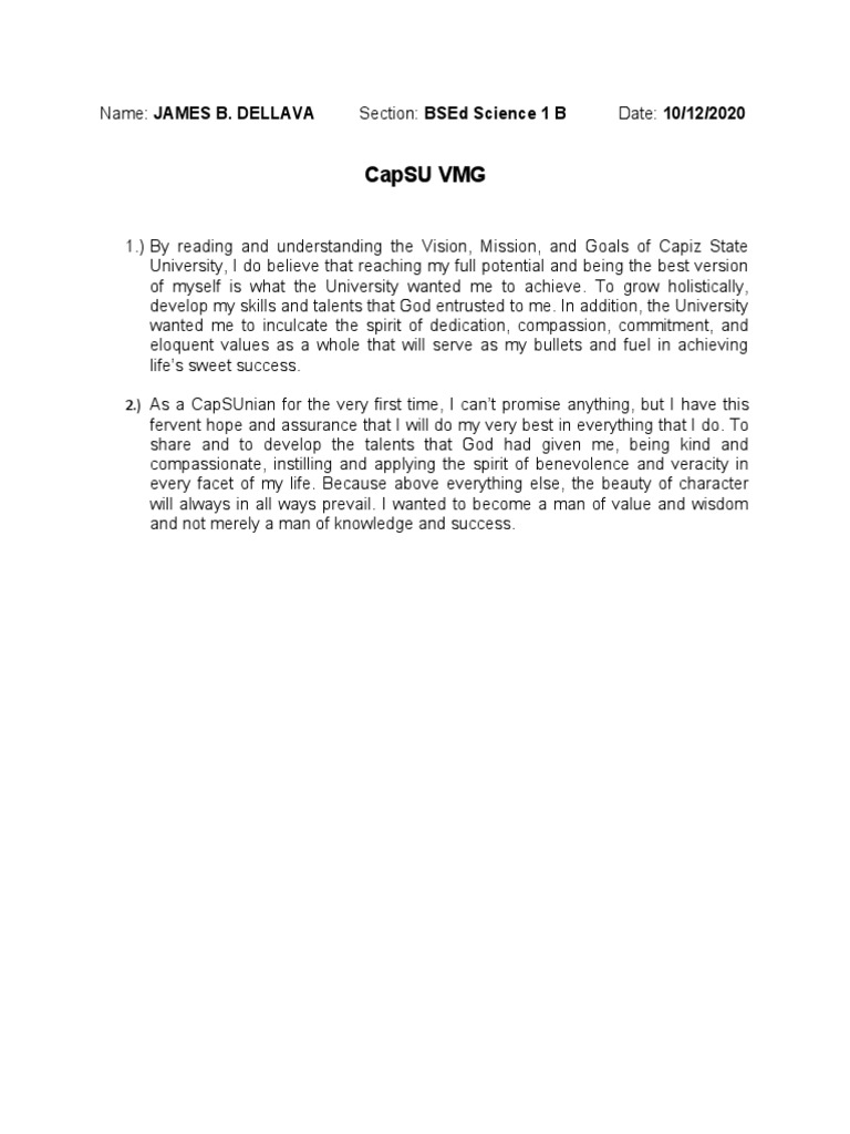 Capsu VMG | PDF