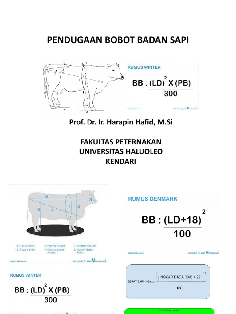 Rumus Pendugaan Bobot Badan Sapi | PDF