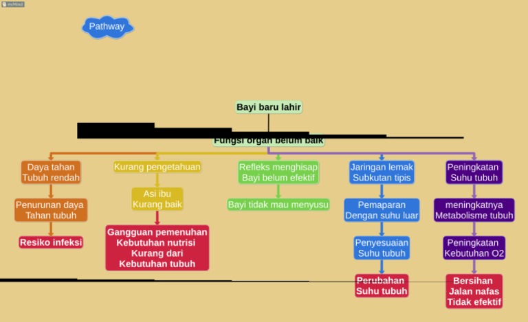 Pathway Bayi Baru Lahir | PDF