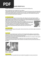 Understanding LR Class Notations | PDF | Ships | Oil Tanker