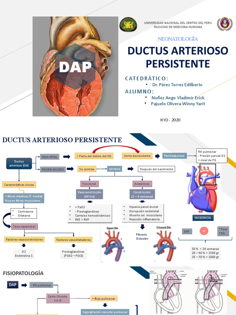 Ductus Arterioso Persistente RN | PDF | Hemodinámica | Pulmón