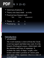 Triadan Tooth Numbering System | PDF