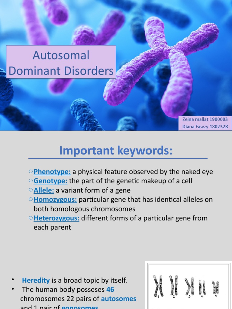 Autosomal Dominant Disorders | PDF | Dominance (Genetics) | Zygosity