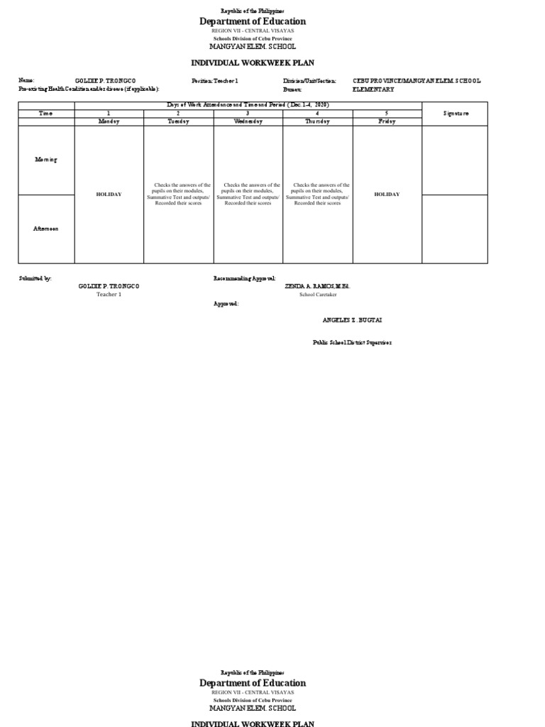 Department of Education: Individual Workweek Plan | Download Free PDF | Workweek And Weekend