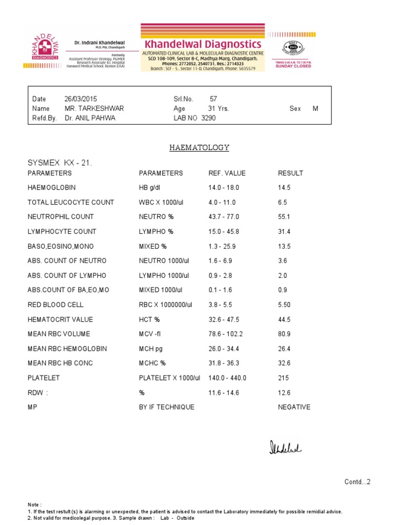How To Check Blood Test Report PDF | PDF | White Blood Cell | Lymphocyte