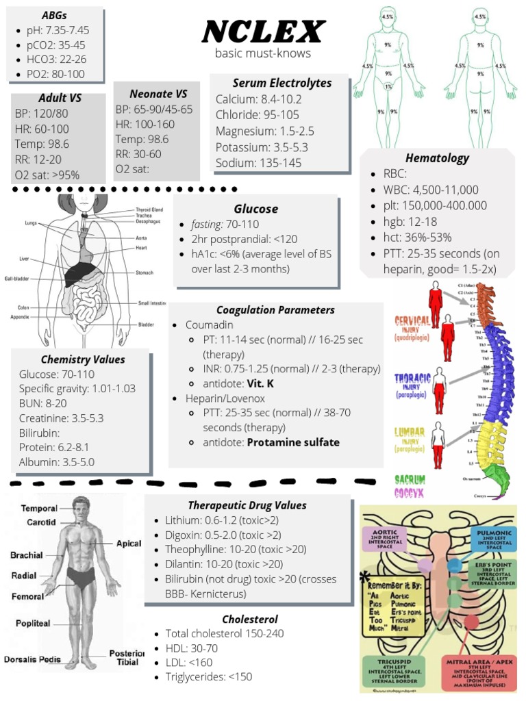 NCLEX Essential Lab Values Guide | PDF