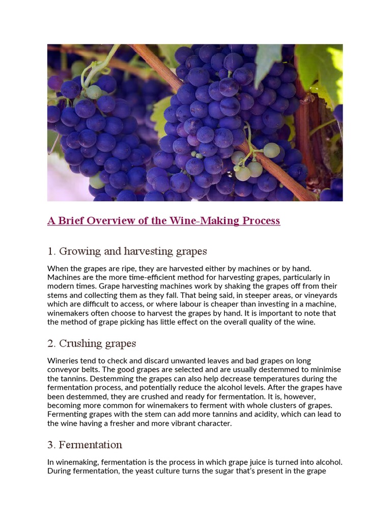 A Brief Overview of The Wine-Making Process: 1. Growing and Harvesting Grapes | PDF | Winemaking ...