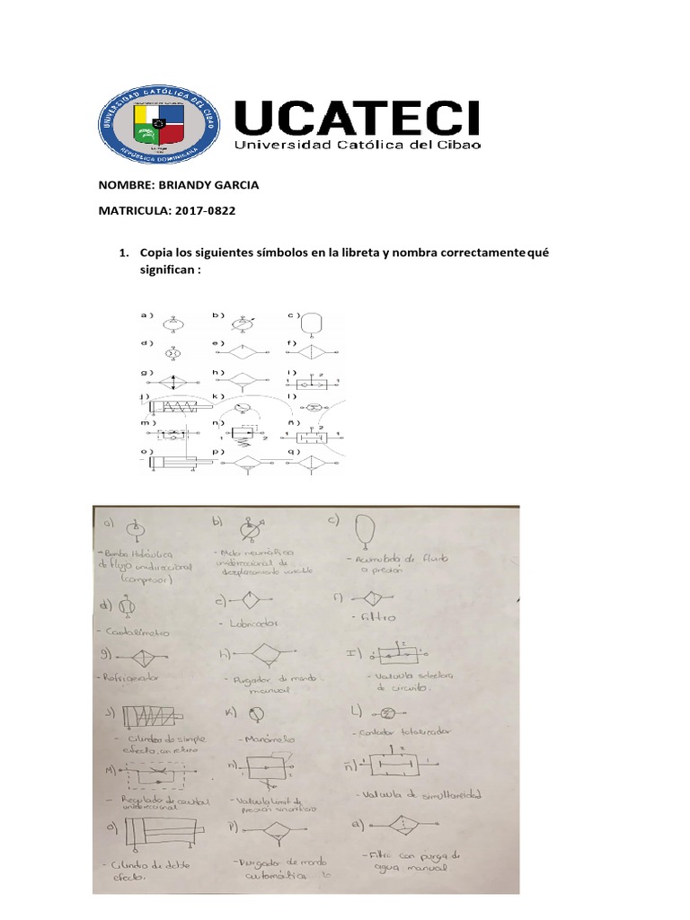 Practica de Simbologia Neum 2 | PDF