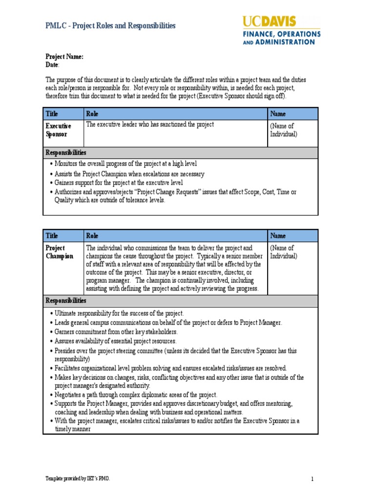 Roles and Responsibilities Template | PDF | Documentation | Databases