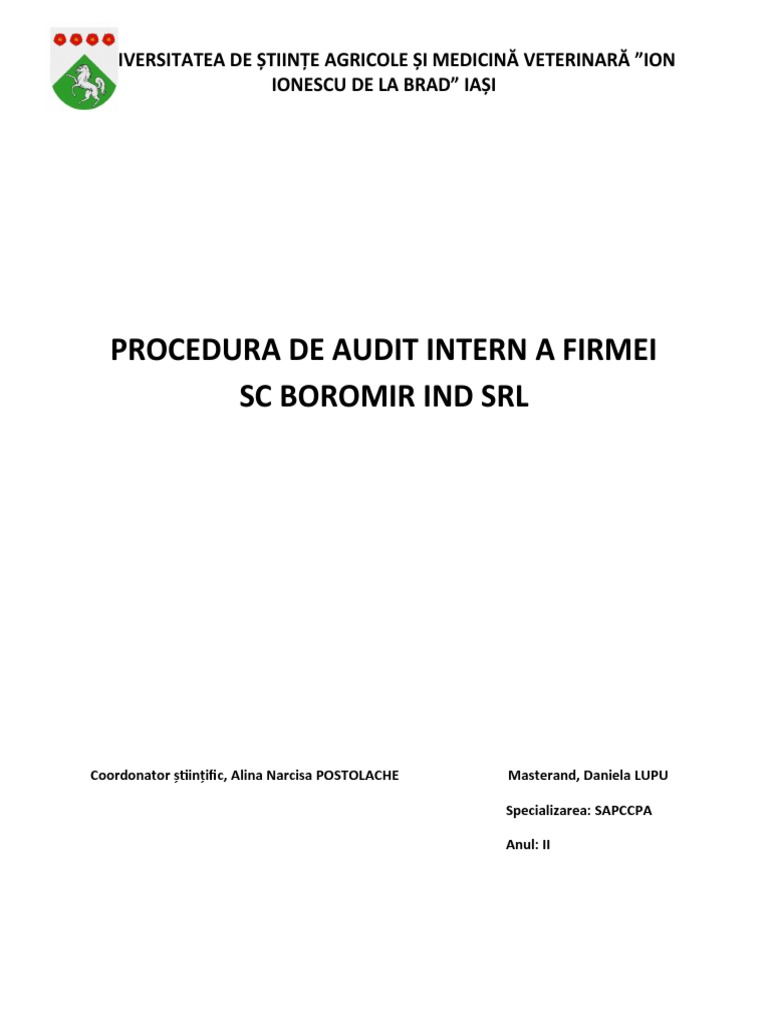 Procedura de Audit Intern | PDF