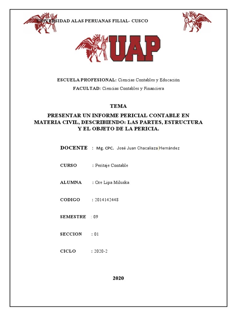 Informe Pericial Contable | PDF | Multa (pena) | Testigo experto