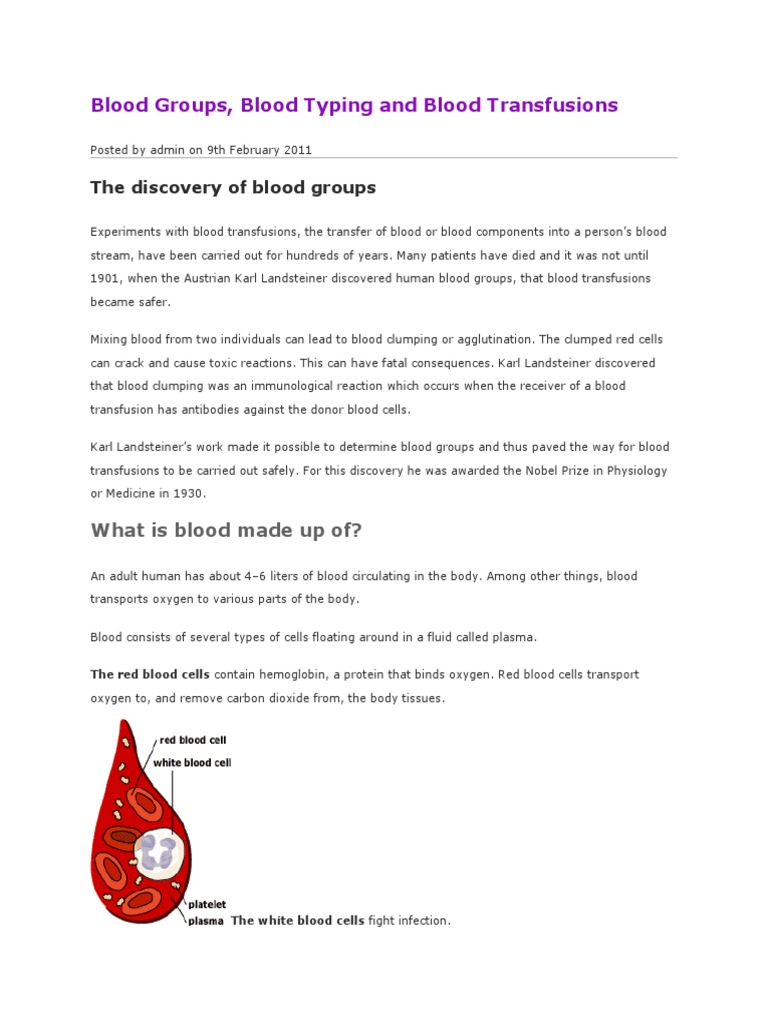 Blood Groups, Blood Typing and Blood Transfusions | PDF | Blood Type ...