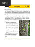 Biología y control de zompopos | PDF | Insectos | Suelo