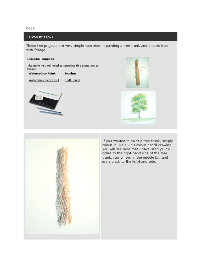 Trees: Stage by Stage | PDF
