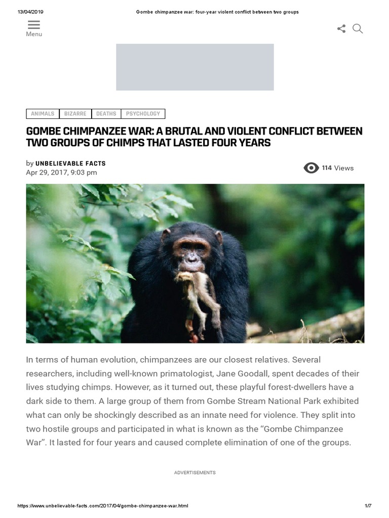 Gombe chimpanzee war_ four-year violent conflict between two groups ...