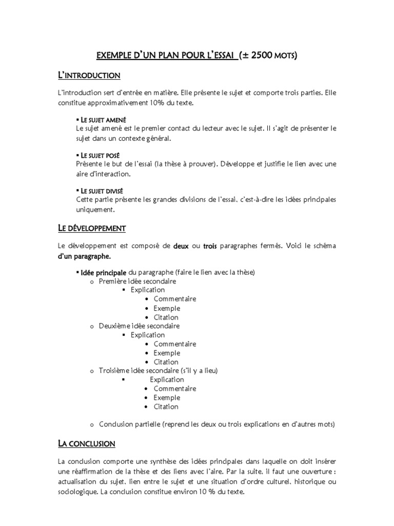 PP Exemple Plan Essai | PDF