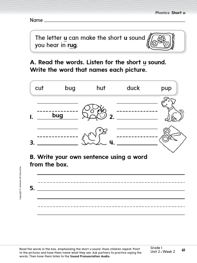 Phonics Short U | PDF | Phonics | Cognition
