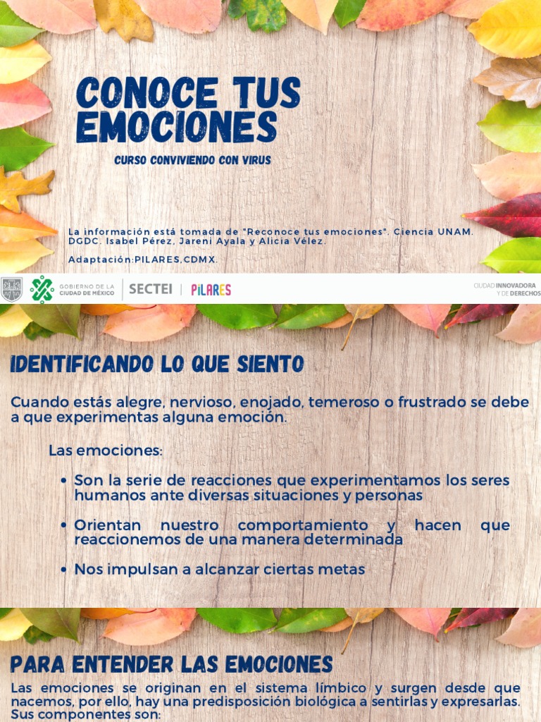 Conoce Tus Emociones | PDF | Las emociones | Experiencia subjetiva