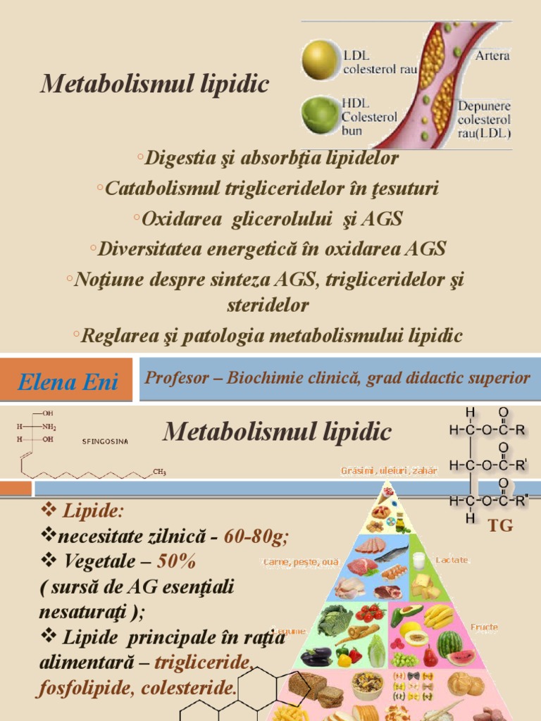 Metabolismul Lipidic | PDF