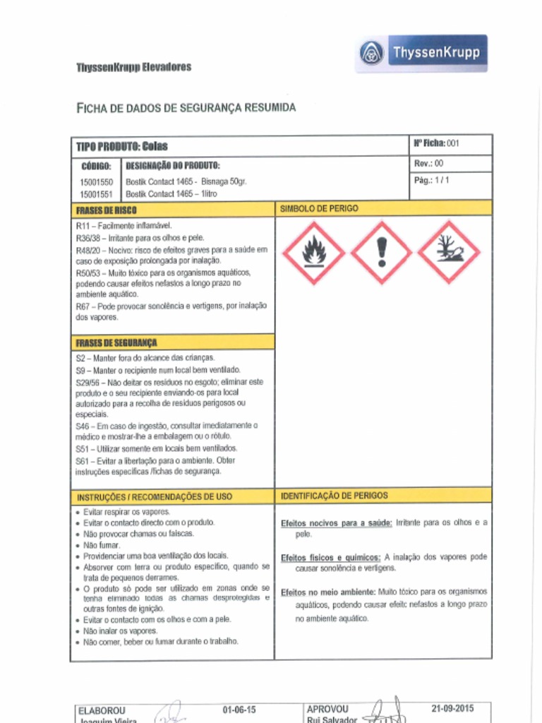Fichas de Dados de Segurança Resumida | PDF