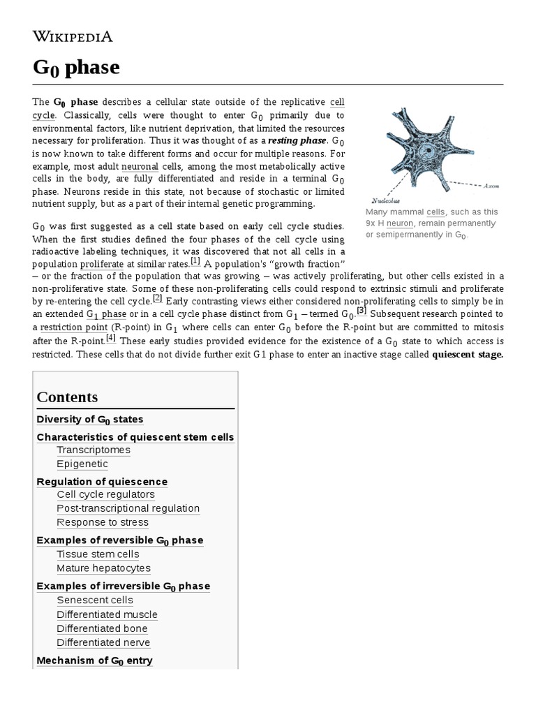 G Phase: Phase Describes A Cellular State Outside of The Replicative ...