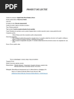 PROIECT DIDACTIC - Model Structural | PDF