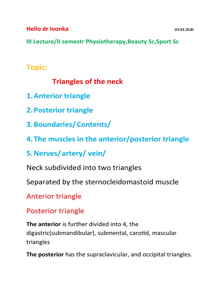 Carotid Triangle Contents Mnemonic