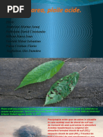 Ploaia Acida | PDF