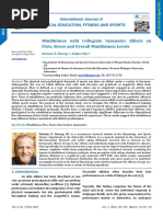 Flow State Scale (FSS) | PDF