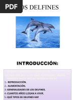 Texto Expositivo Sobre LOS DELFINES | PDF