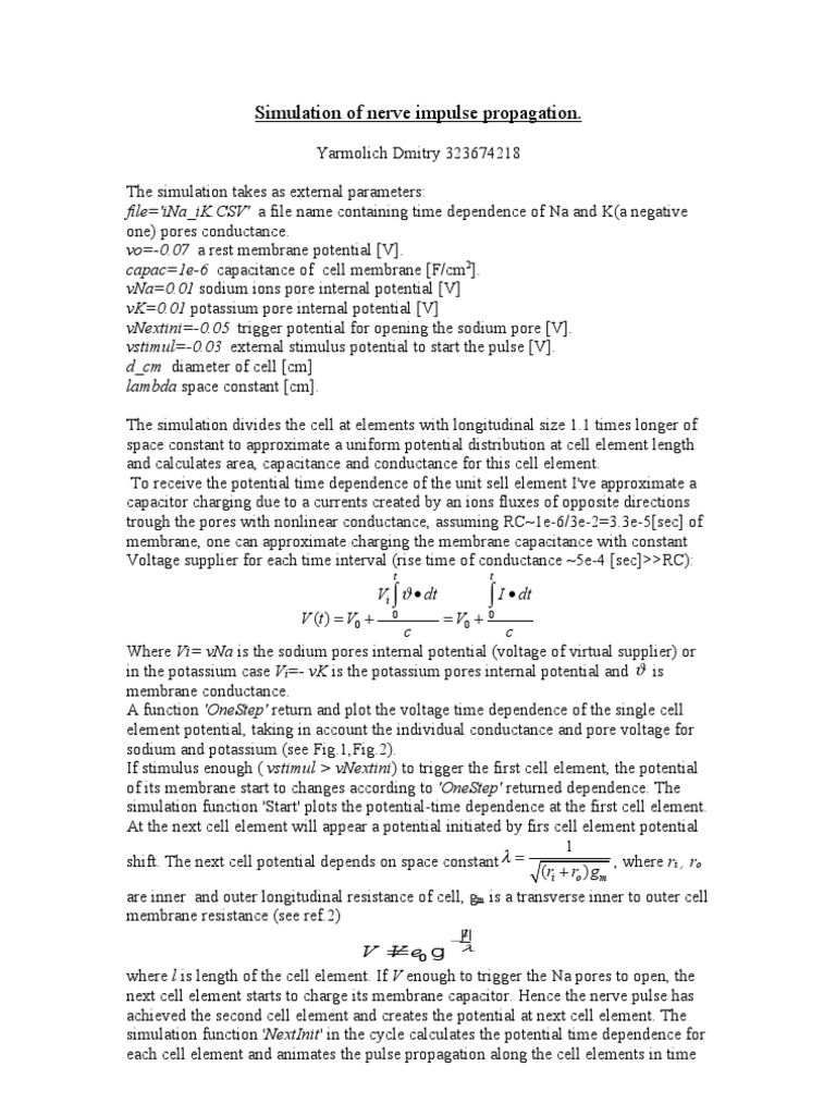 Simulation of Nerve Pulse Propagation | PDF