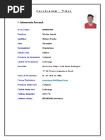 CURRICULUM VITAE BASICO Paola | PDF