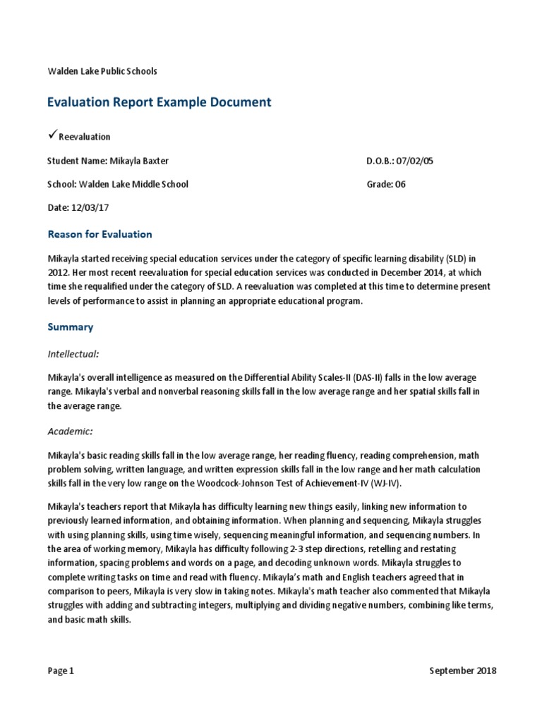 Evaluation Report Example Document 9.2018 | PDF | Learning Disability ...