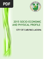 BGC Master Plan | PDF | Metro Manila | Business