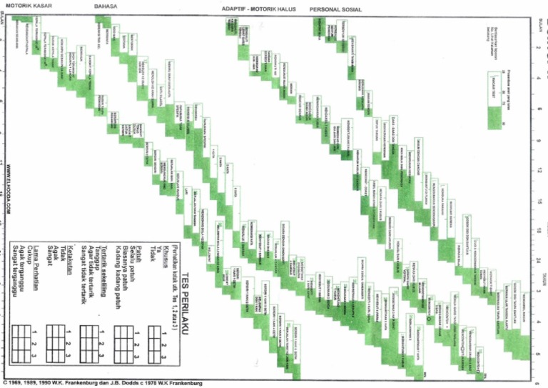 Denver Perkembangan Anak | PDF