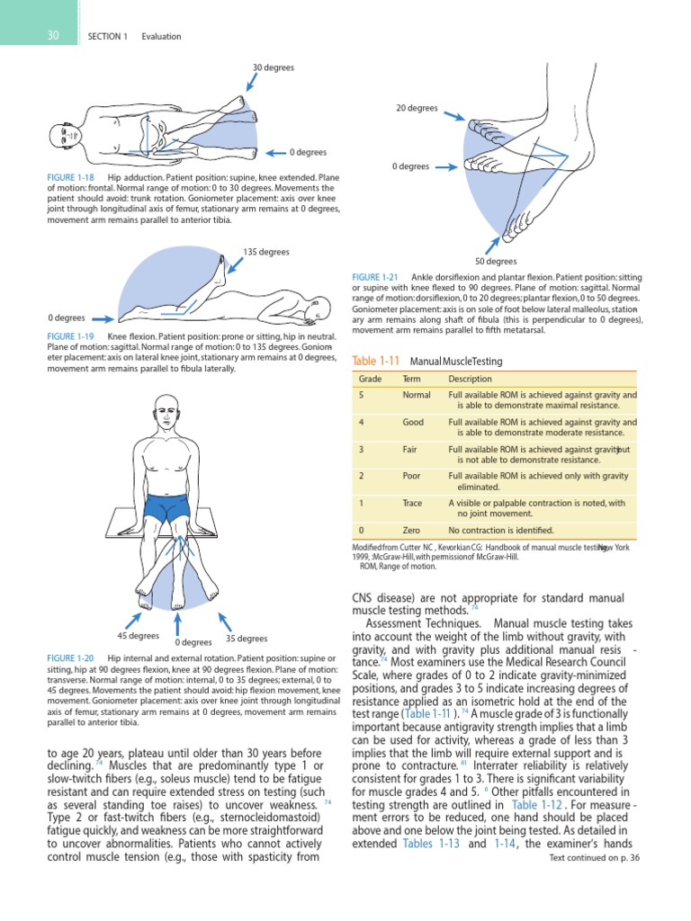 Rom 4 | PDF | Anatomical Terms Of Motion | Knee