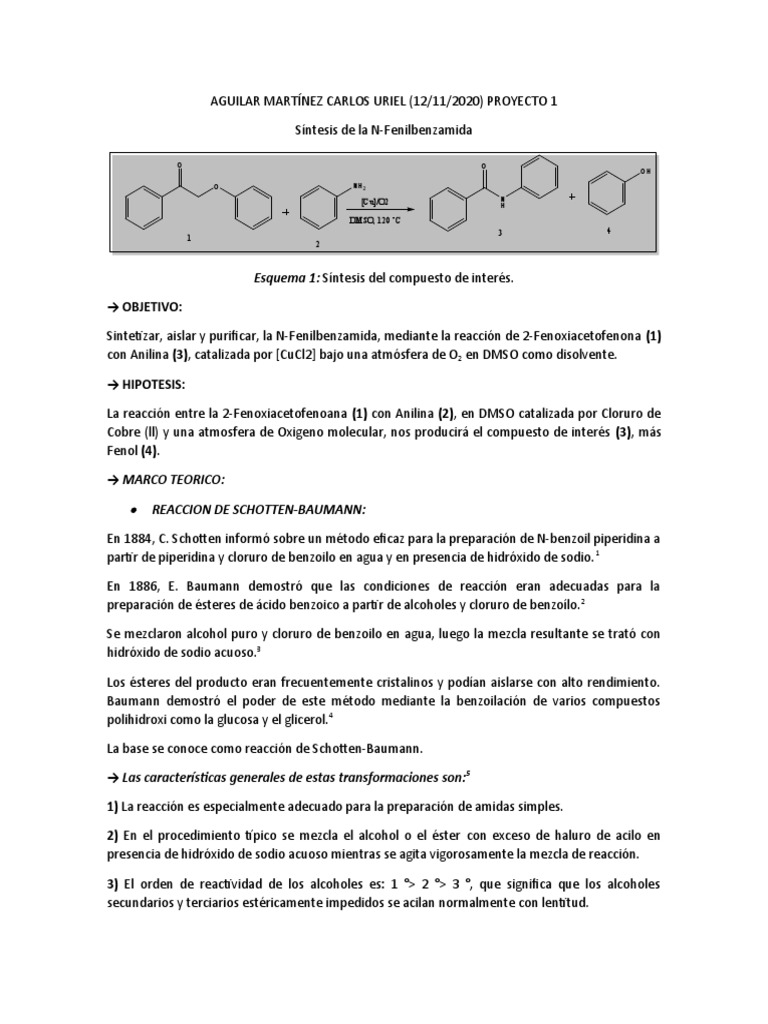 Síntesis de La Benzanilida | PDF | Ácido | Ciencias fisicas