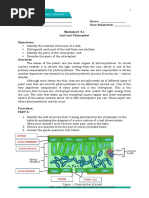 Grade 8 - Photosynthesis and Respiration (Notes) | PDF | Photosynthesis ...