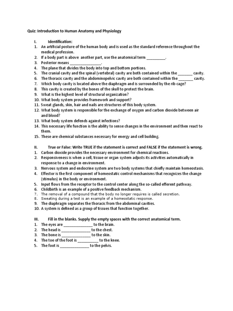 Human Anatomy & Physiology Quiz | PDF | Human Body | Anatomical Terms ...
