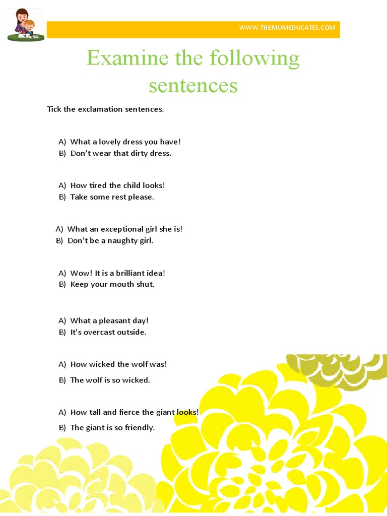 Examine The Sentences Worksheet | PDF