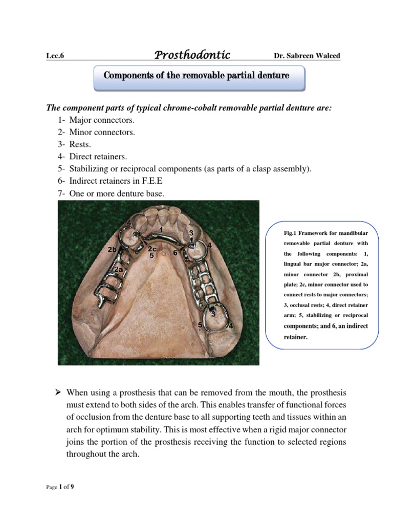 Components of RPD 2019-20202269883743114318549 - 070220002043 | PDF ...