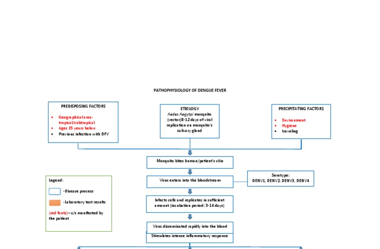 Pathophysiology of Dengue Fever | PDF