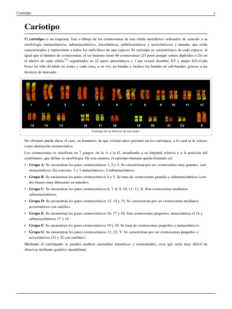 Cariotipo Humano | PDF | Cariotipo | Cromosoma