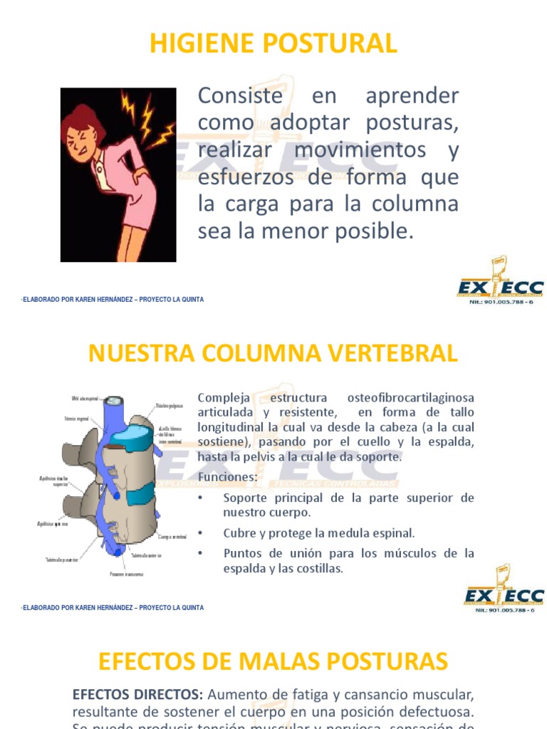 Guía de Higiene Postural y Salud Espinal | PDF | La columna vertebral ...