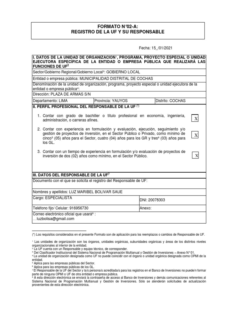 Formato 02a | PDF | Teléfonos móviles | Business