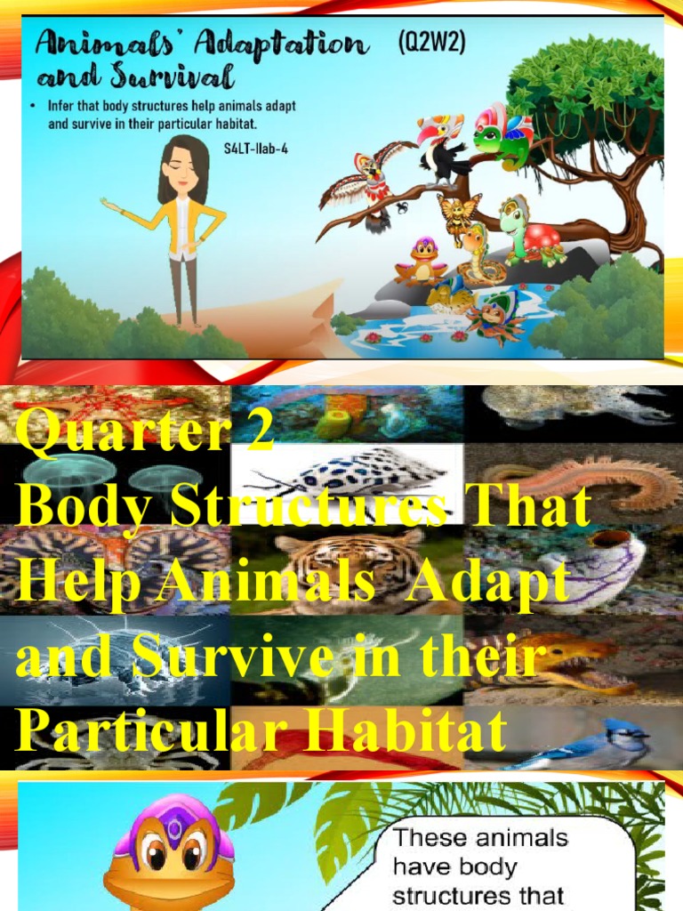 Final Body Adaptation and Survival | PDF | Claw | Tooth