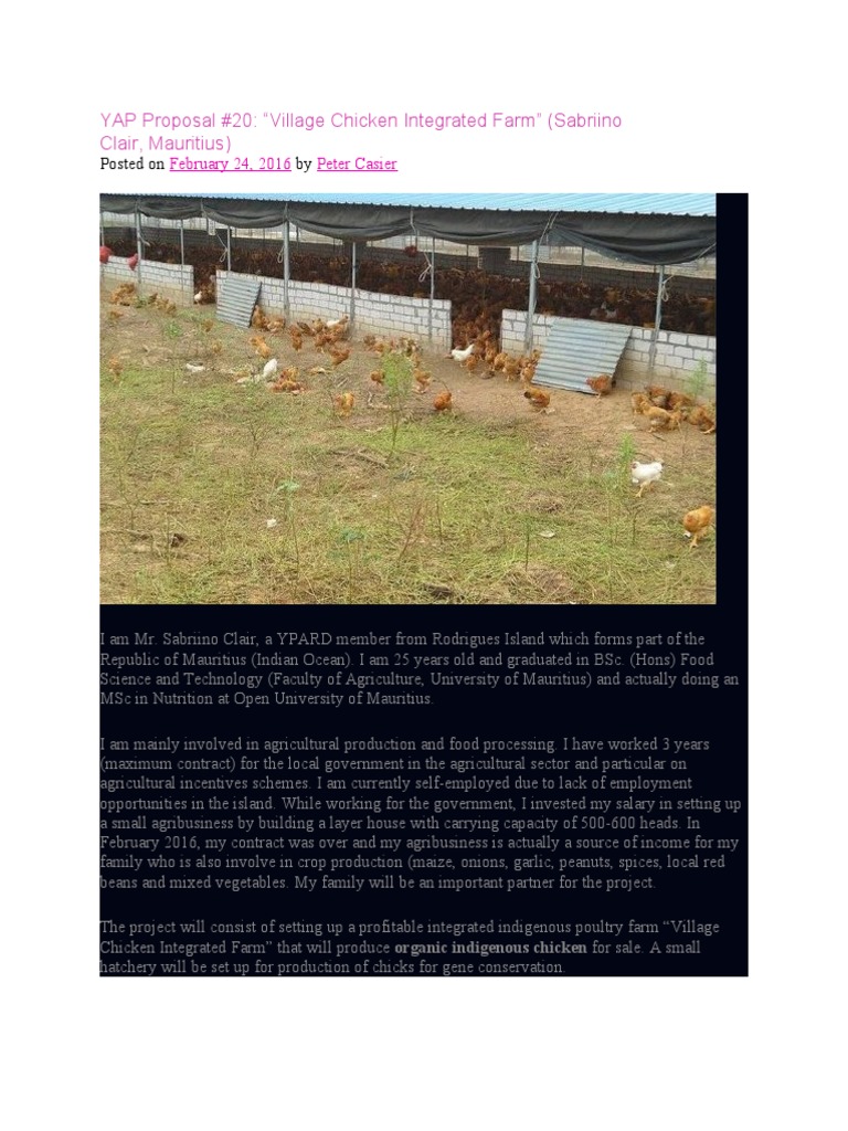 YAP Proposal #20: Village Chicken Farm | PDF | Chicken | Farms